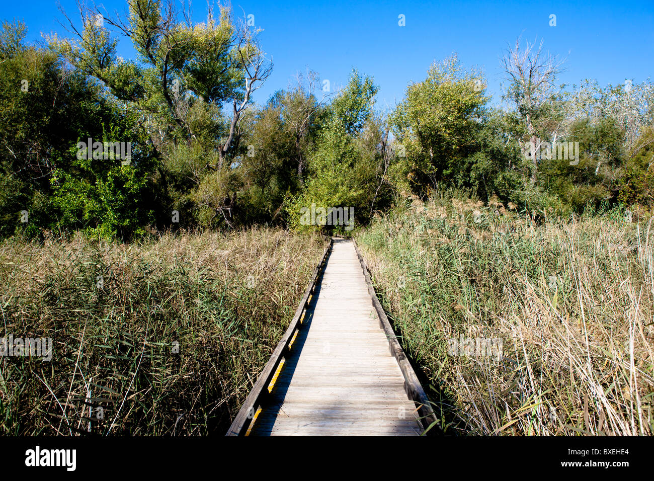 Sebes reserve Flix Ebro Catalonia Spain Stock Photo - Alamy
