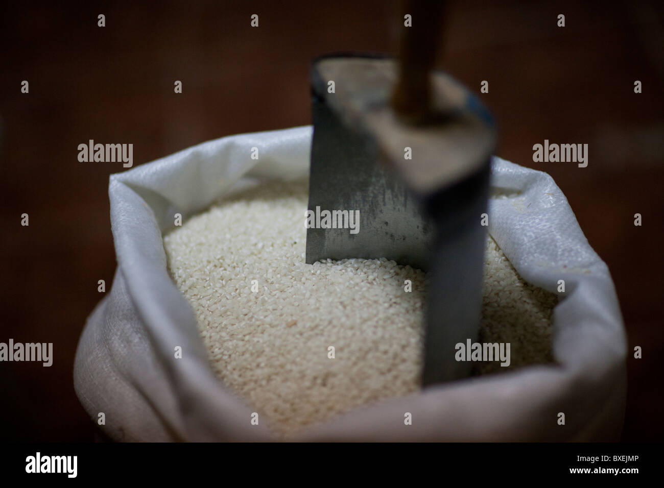 Ring of rice hi-res stock photography and images - Alamy