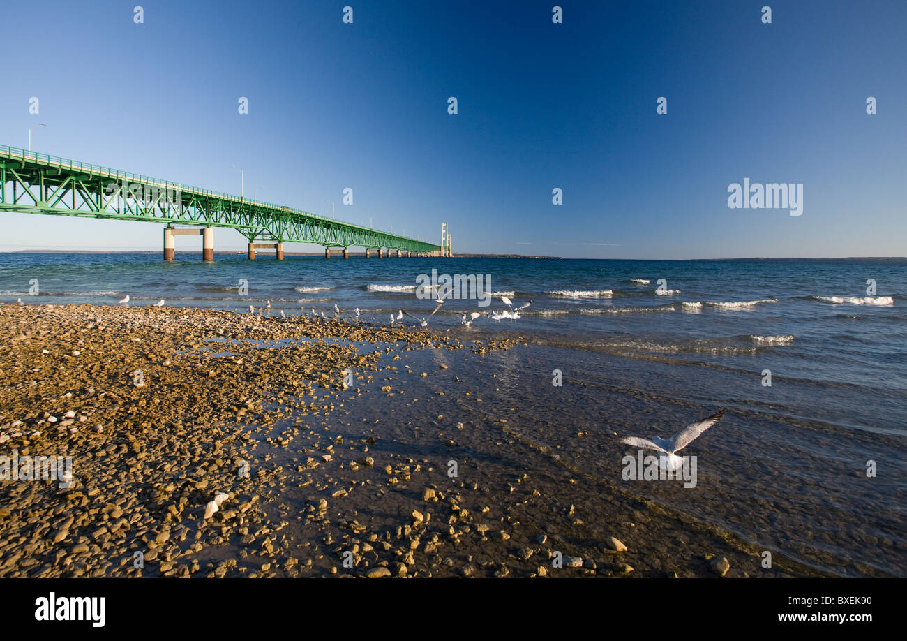 Mackinaw City Bridge Michigan Autumn Fall St Ignace Stock Photo - Alamy