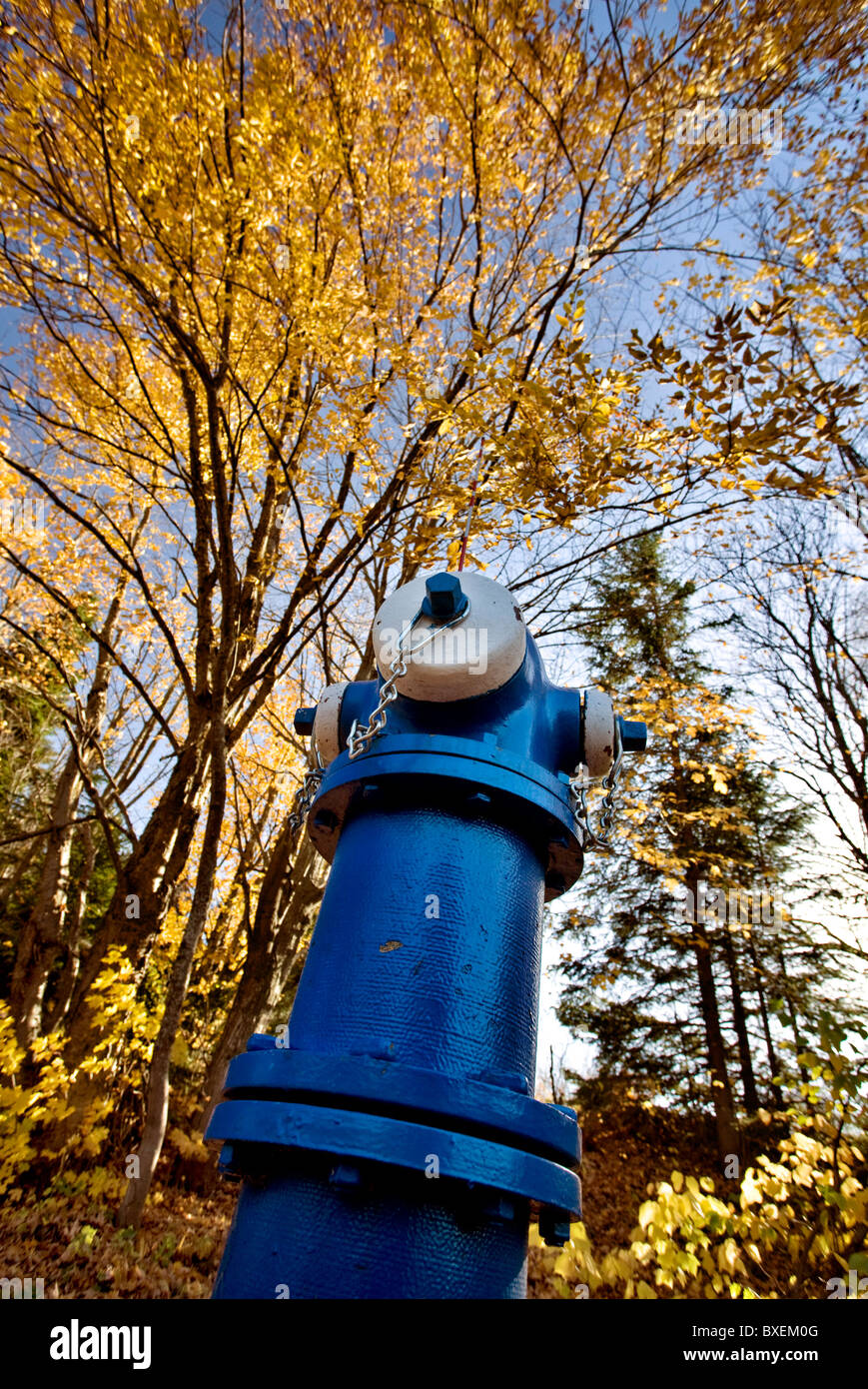 White and blue fire hydrant hi-res stock photography and images - Alamy