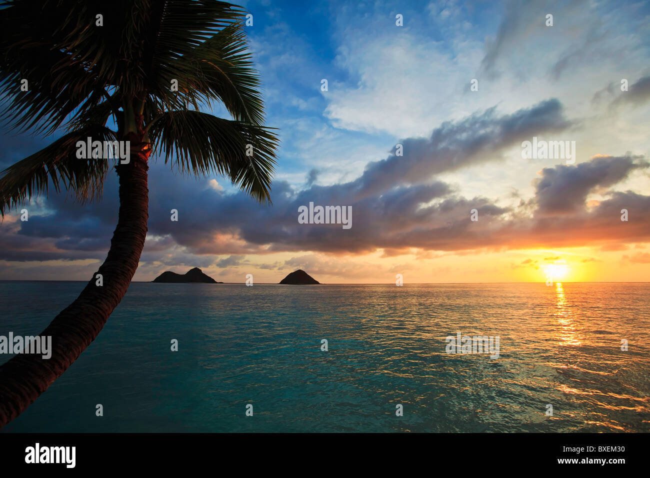 pacific sunrise in hawaii with palm tree and islands Stock Photo - Alamy