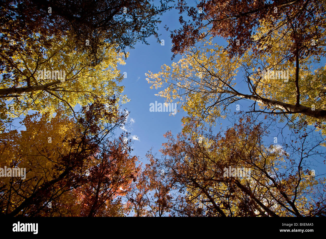 Michigan colors hi-res stock photography and images - Alamy