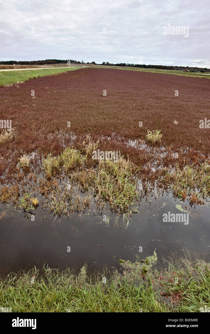 Usa circle field hi-res stock photography and images - Alamy