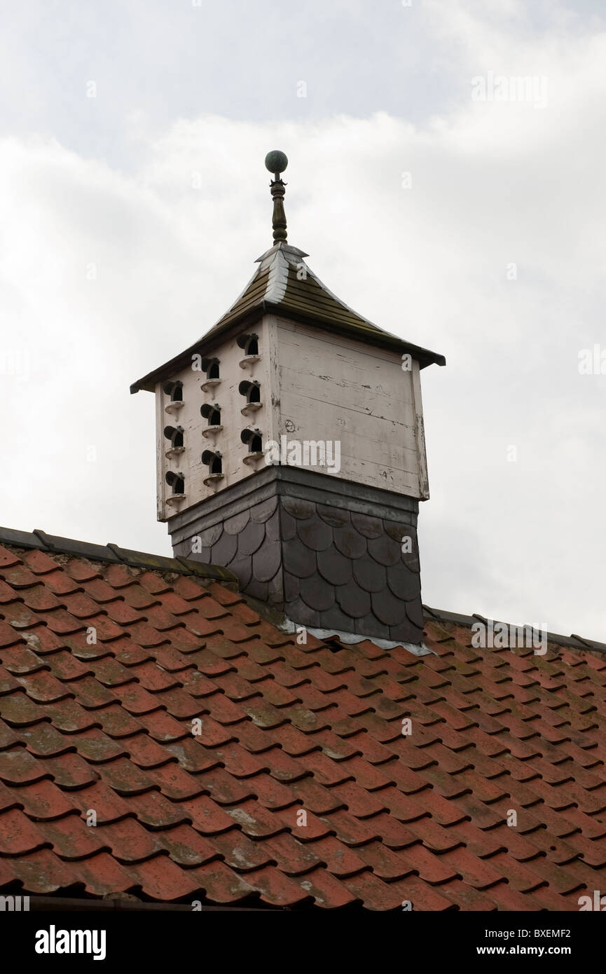 Dove House on Rooftop Stock Photo - Alamy