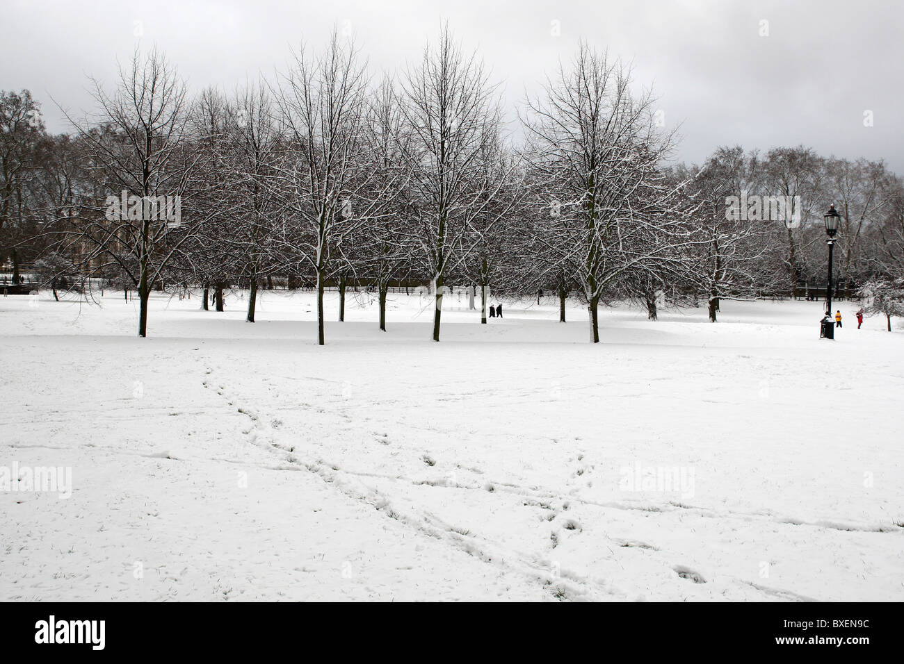 Green Park after a heavy snowfall in London, UK on December 18th, 2010 ...