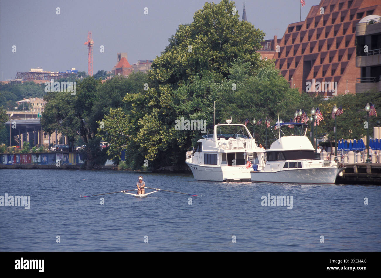 Washington d c potomac rowing hi-res stock photography and images - Alamy