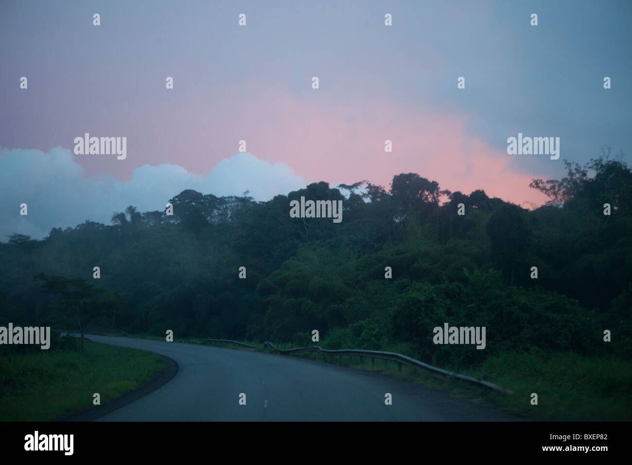 Trees sunset road Kribi Yaounde Cameroon Africa Stock Photo - Alamy