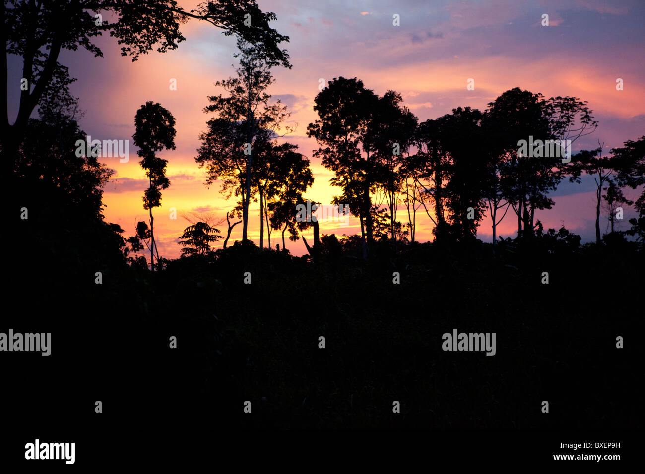 Yaounde cameroon hi-res stock photography and images - Alamy