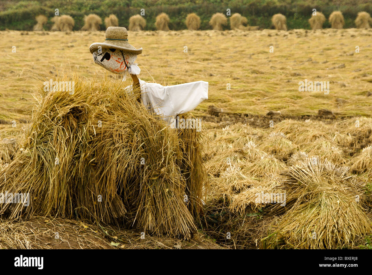 Scarecrow with harvested rice, Hahoe Folk Village, South Korea Stock ...