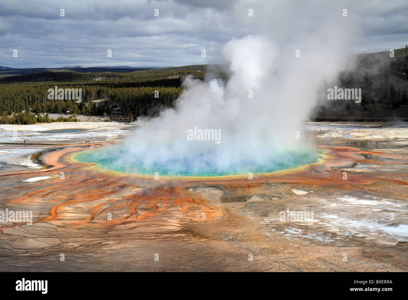Grand Prismatic pool in Yellowstone Stock Photo - Alamy