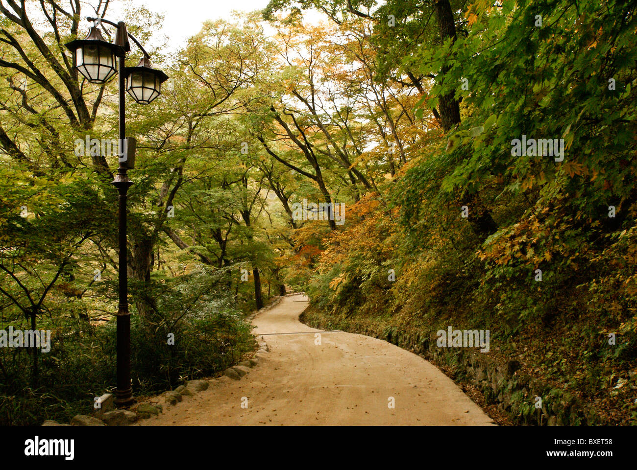 Girimsa Buddhist temple pathway through fall foliage, South Korea Stock ...