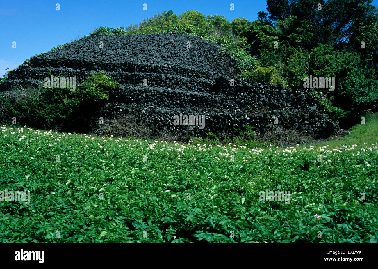 Pico azores magma hi-res stock photography and images - Alamy