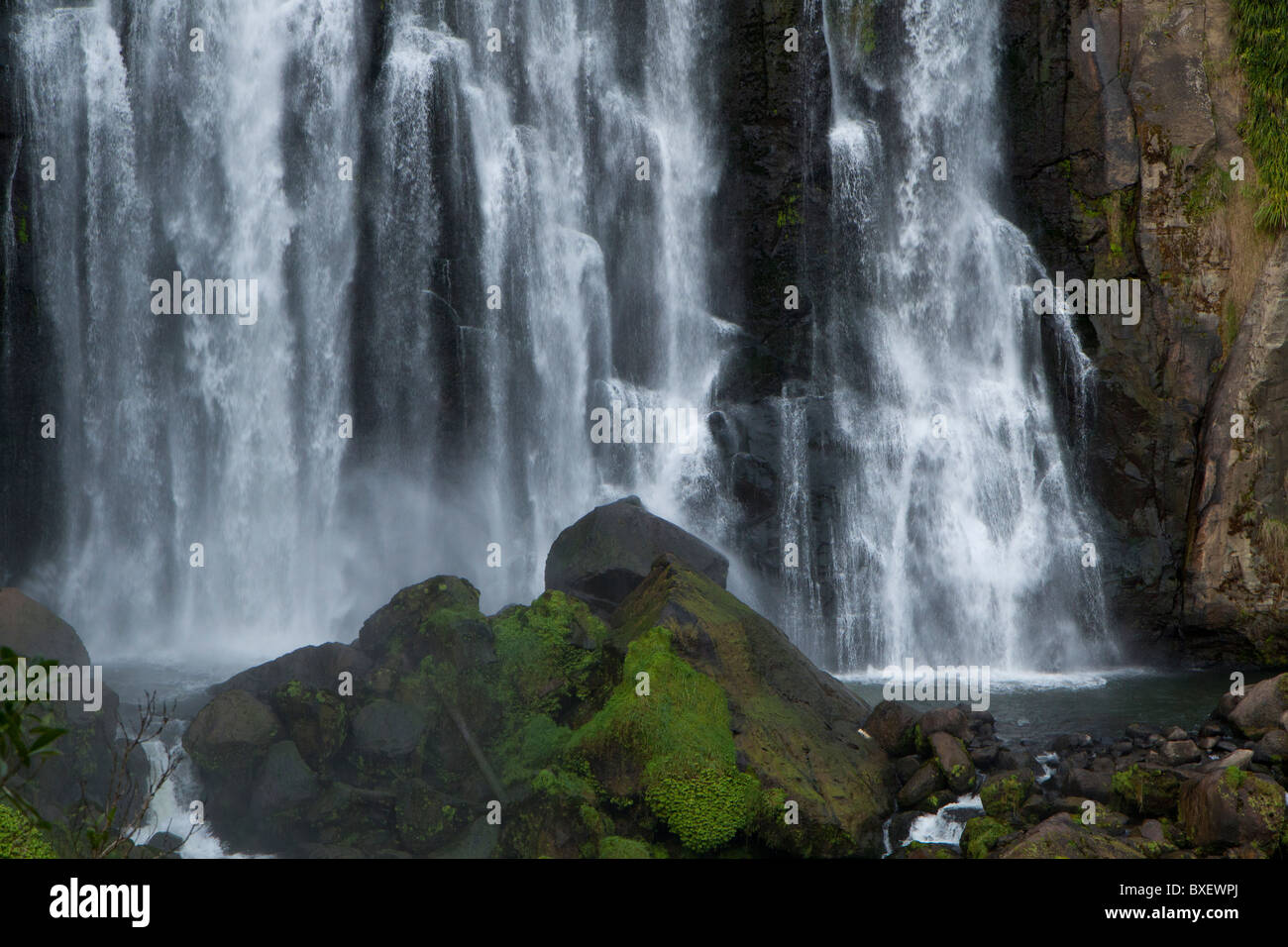 Marokopa waterfall hi-res stock photography and images - Alamy
