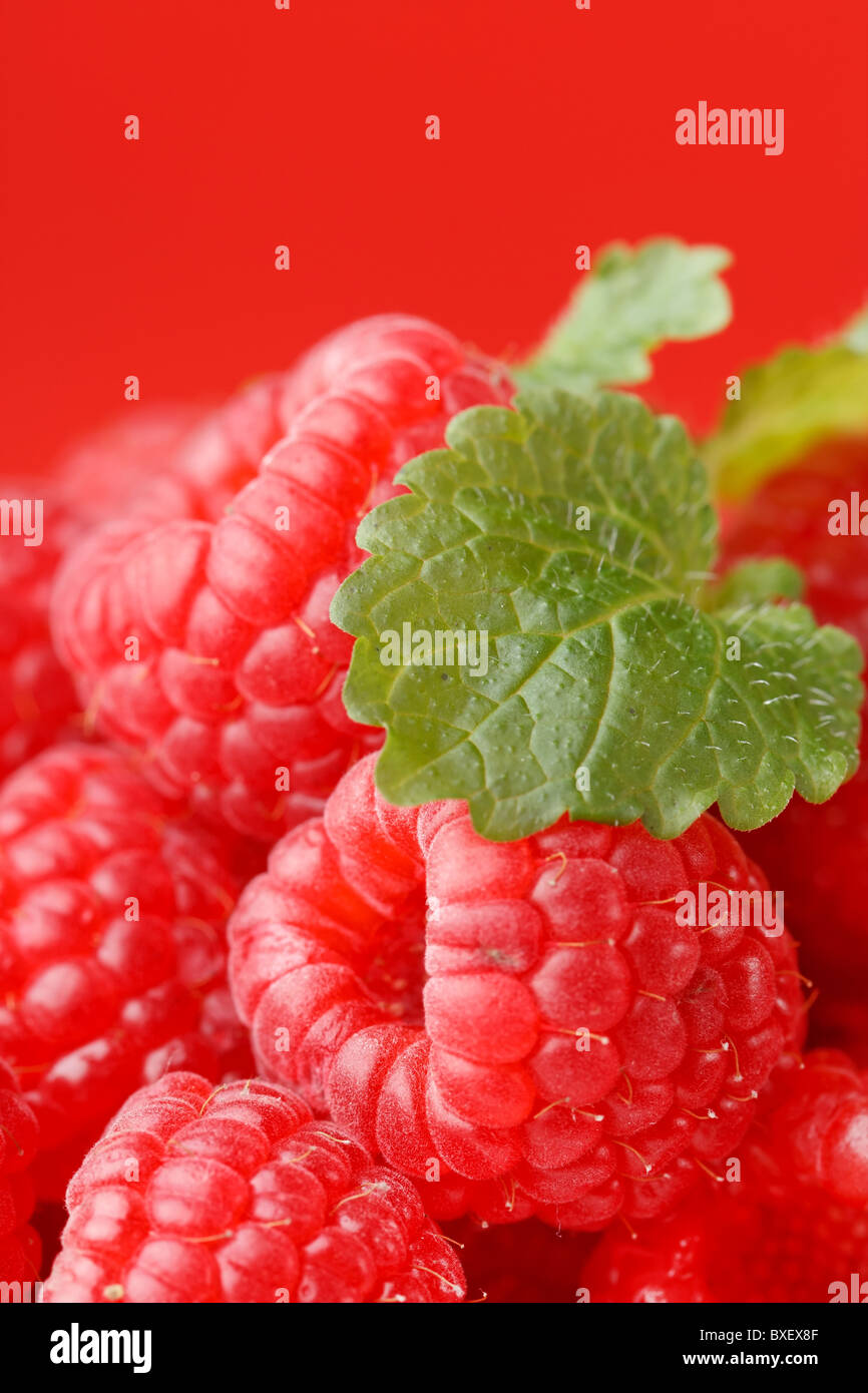 Fresh red raspberry jam mint hi-res stock photography and images - Alamy