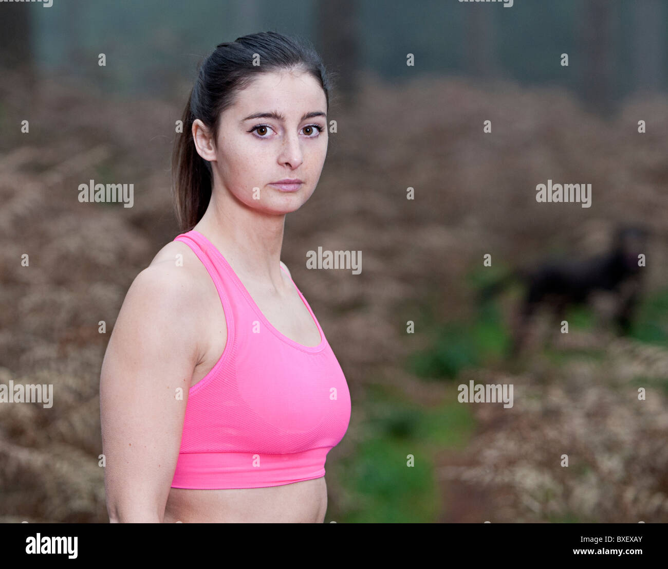 Dog In Bracken High Resolution Stock Photography and Images - Alamy