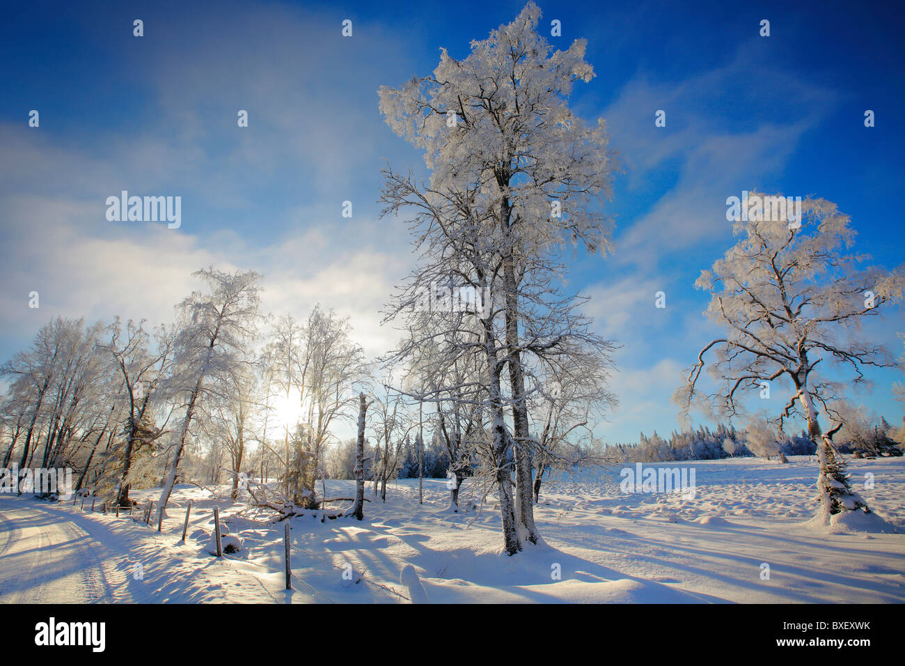 Winter landscape with some snowflakes in the sky Stock Photo - Alamy
