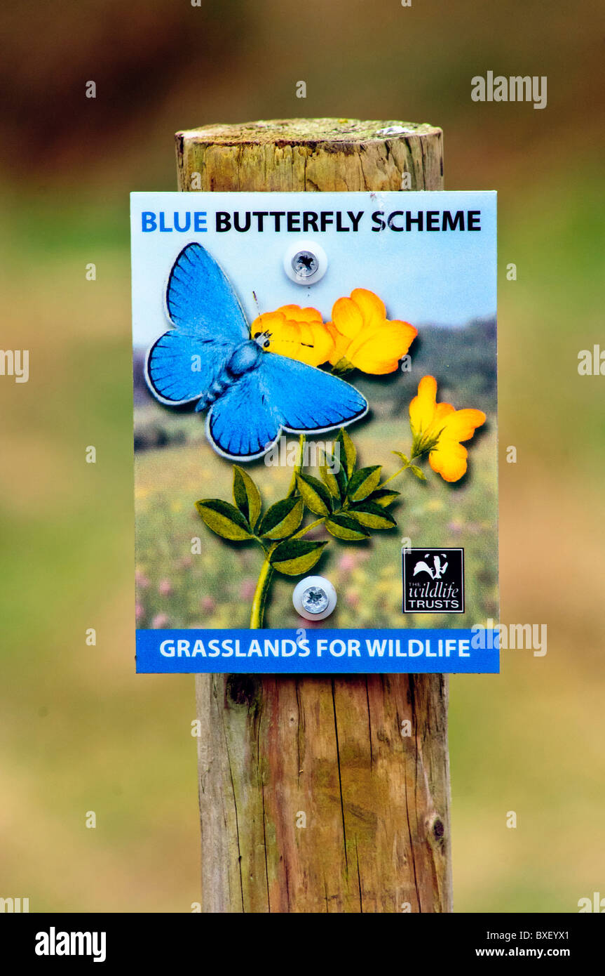 Blue Butterfly Scheme sign, Attenborough Nature Reserve Stock Photo - Alamy