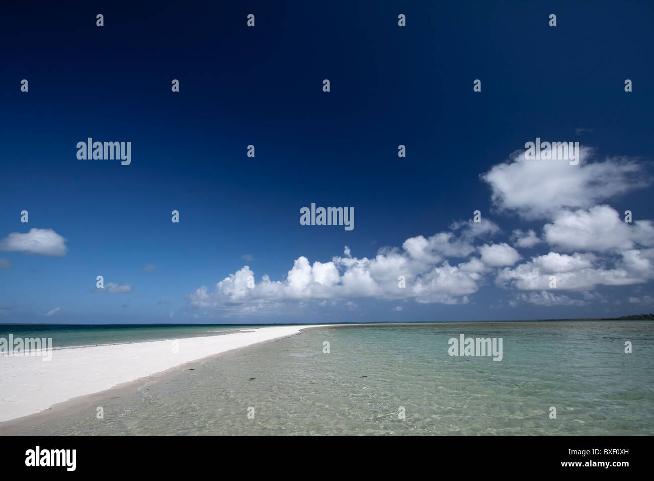 Deserted sandy island in Chole bay, Tanzania Stock Photo - Alamy