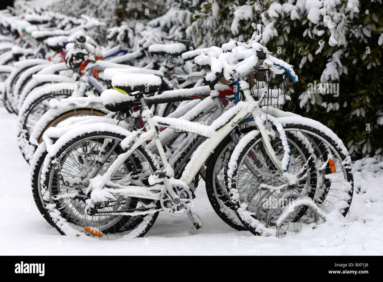 SNOW IN CAMBRIDGE UK Stock Photo - Alamy