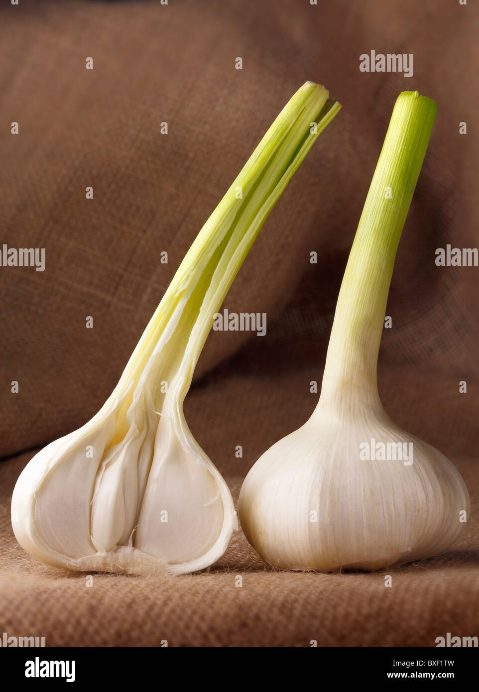 Fresh Garlic whole and half Stock Photo - Alamy