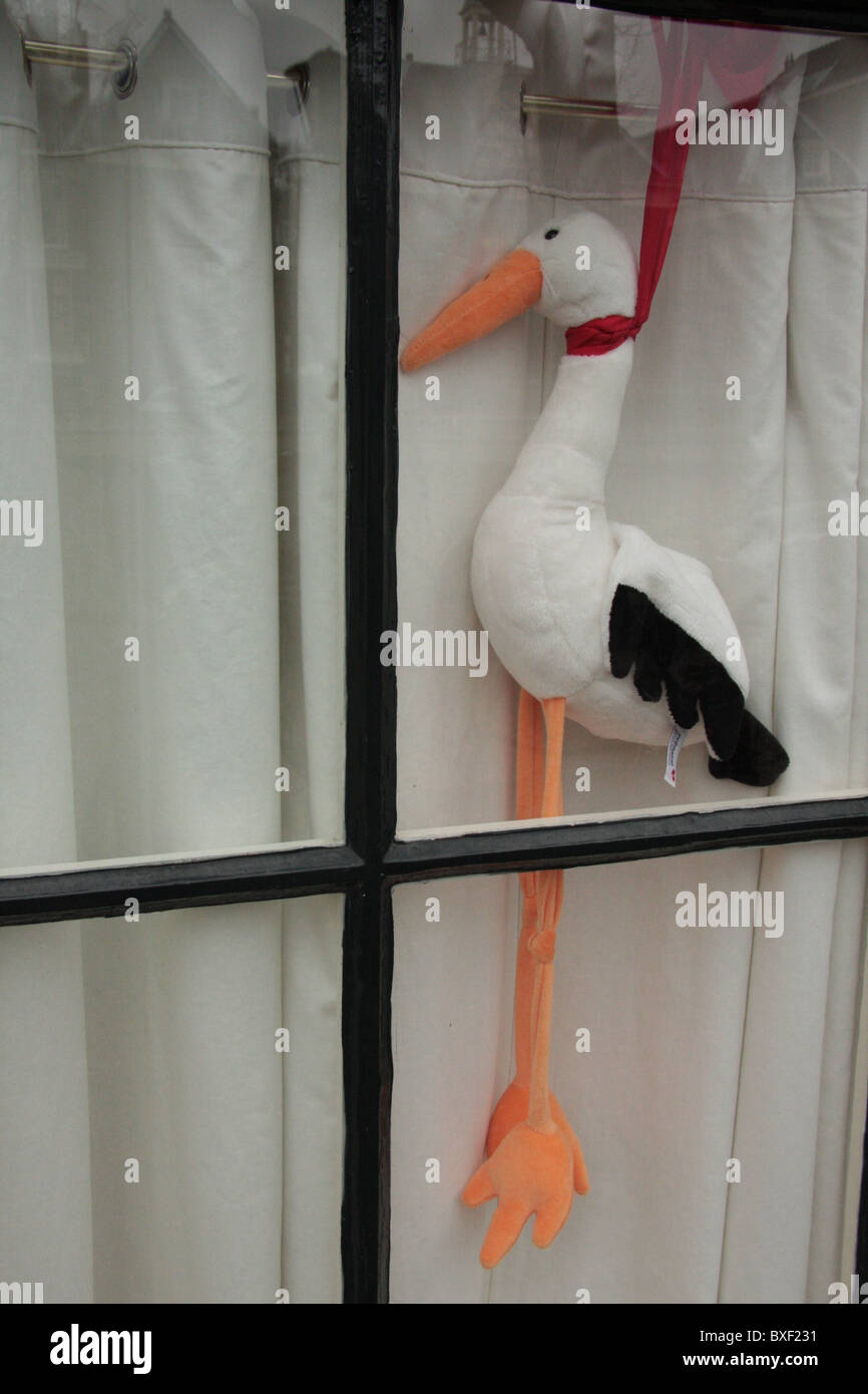 Stork at the window in Amsterdam Stock Photo - Alamy