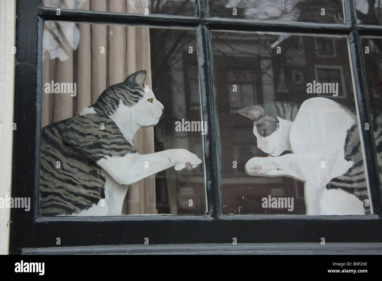 Cat amsterdam window hi-res stock photography and images - Alamy