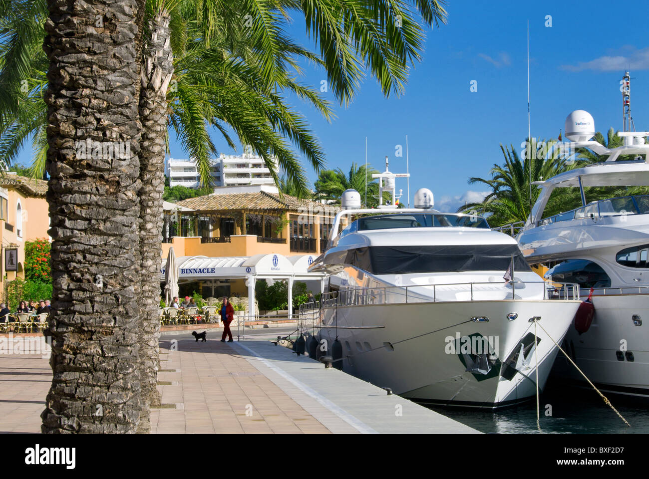 Puerto portals mallorca hi-res stock photography and images - Alamy