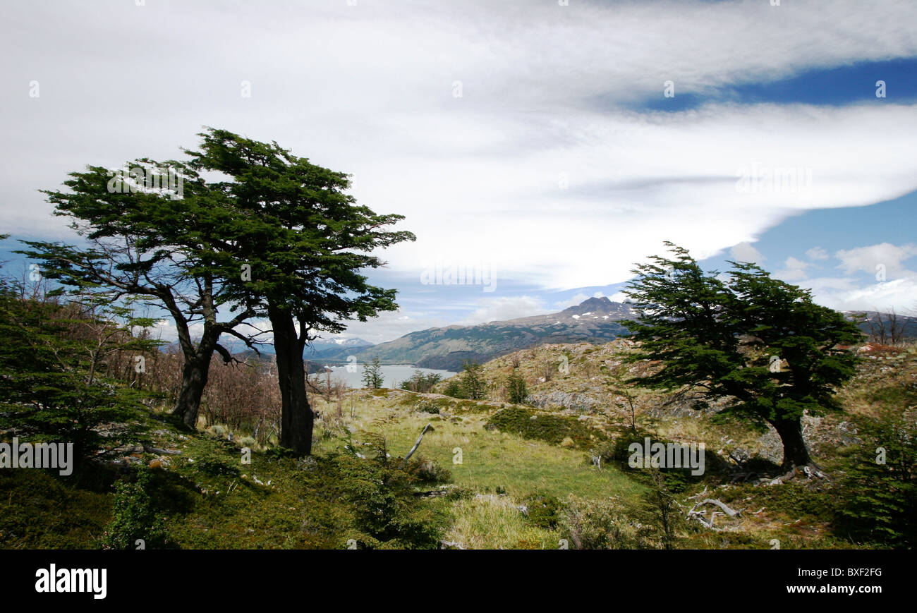 Strong winds of patagonia hi-res stock photography and images - Alamy