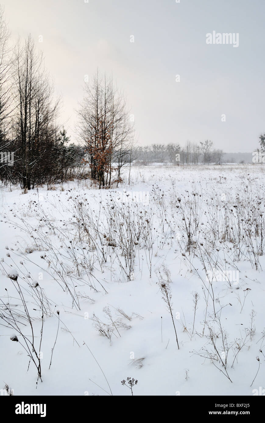 Winter landscape, Ukraine Stock Photo - Alamy