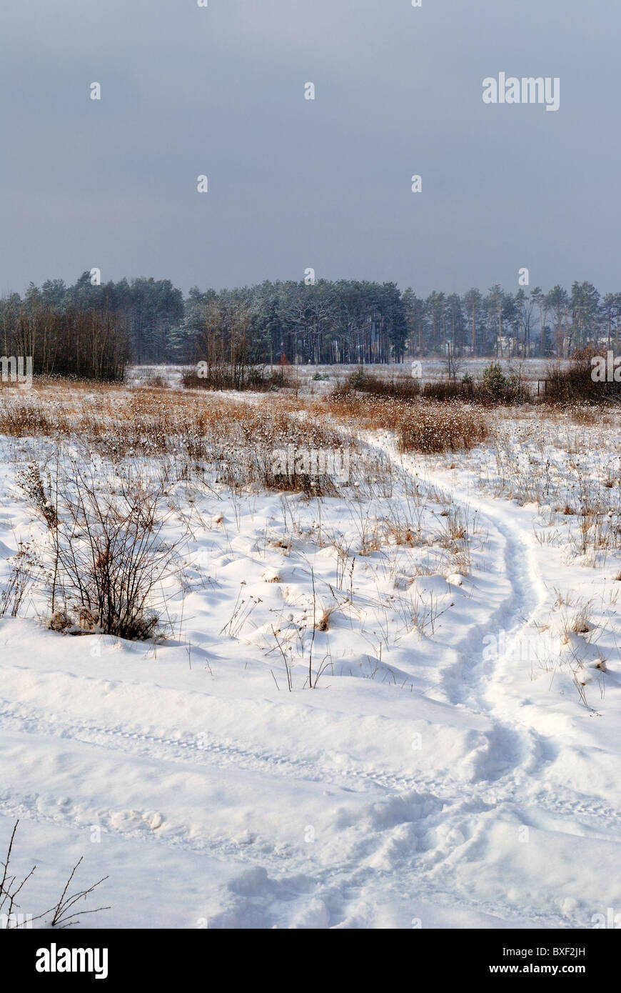Winter landscape, Ukraine Stock Photo - Alamy