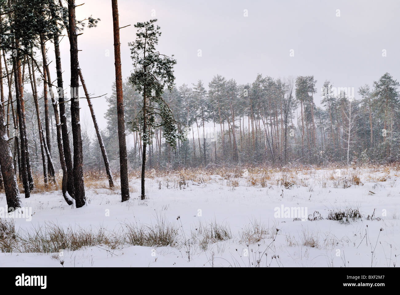 Eastern scene hi-res stock photography and images - Alamy