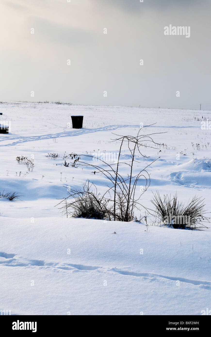 Winter scene in the countryside Stock Photo - Alamy