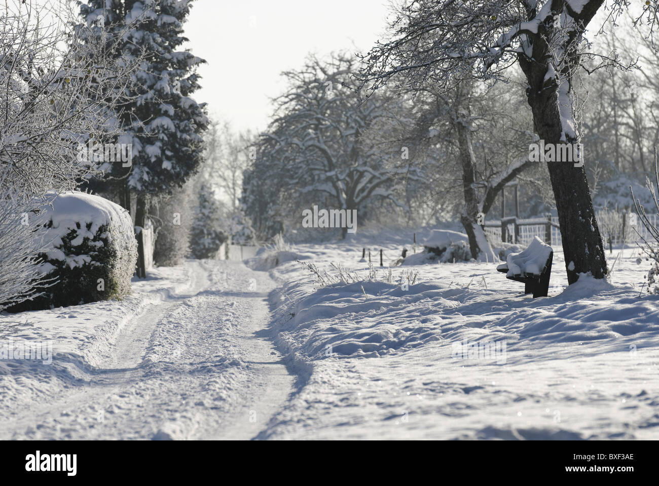 Snow covered uphill country lane on sunny winter day Stock Photo - Alamy