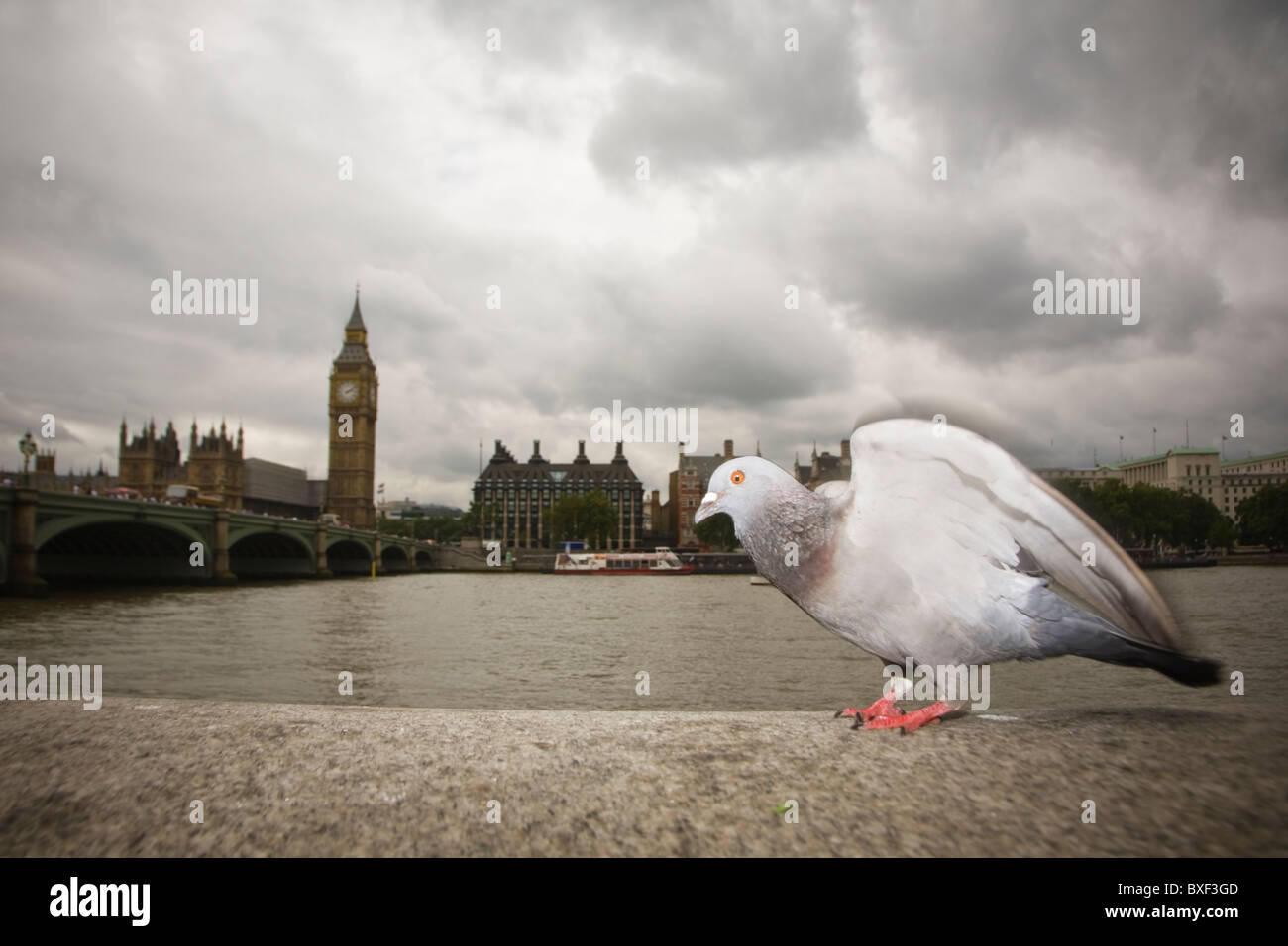 View of Westminster Bridge and the Houses Of Parliament with a scared ...