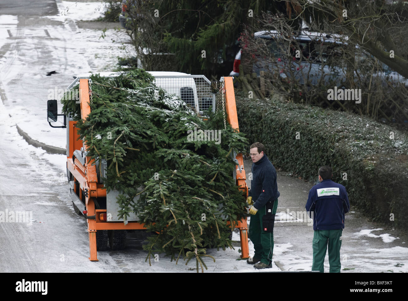 Christmas trees recycling truck Stock Photo - Alamy