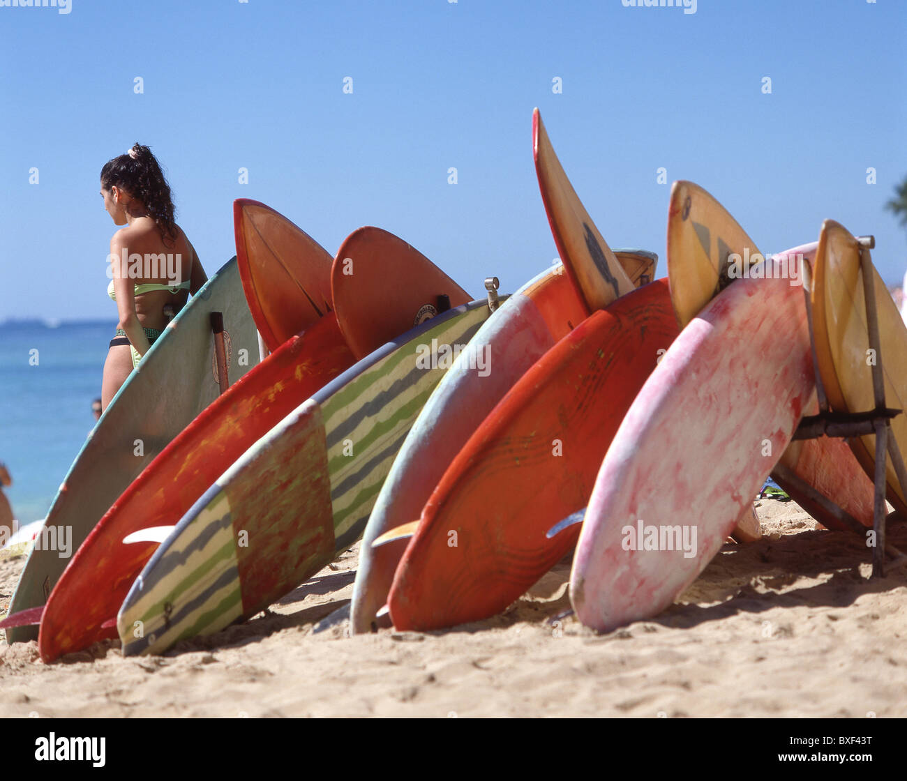 Surf boards palm trees hi-res stock photography and images - Alamy