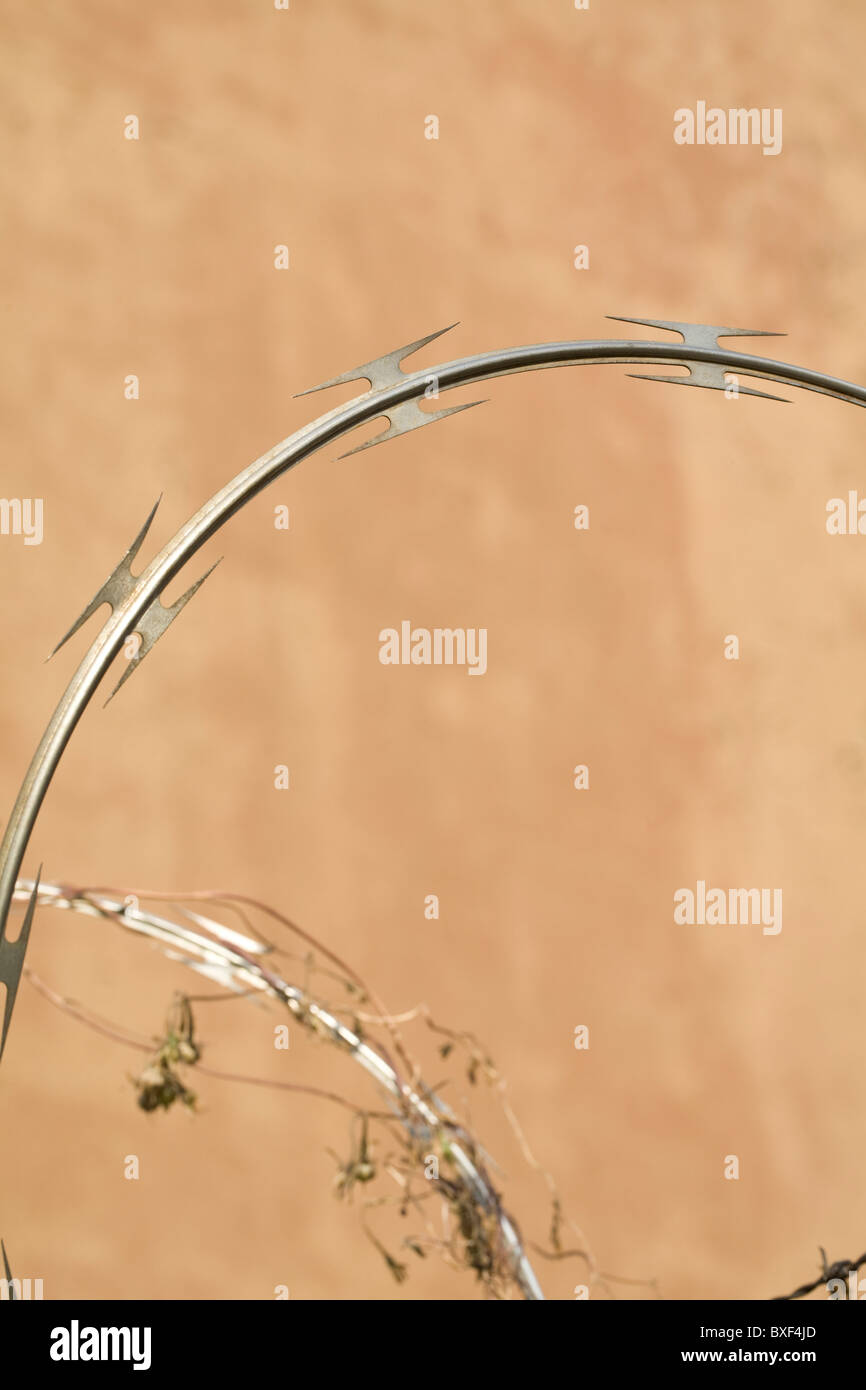 Close-up of Razor Wire Stock Photo - Alamy