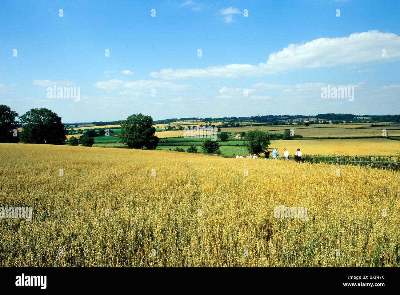 Bosworth Battlefield Visitor Trail, Leicestershire England UK English ...