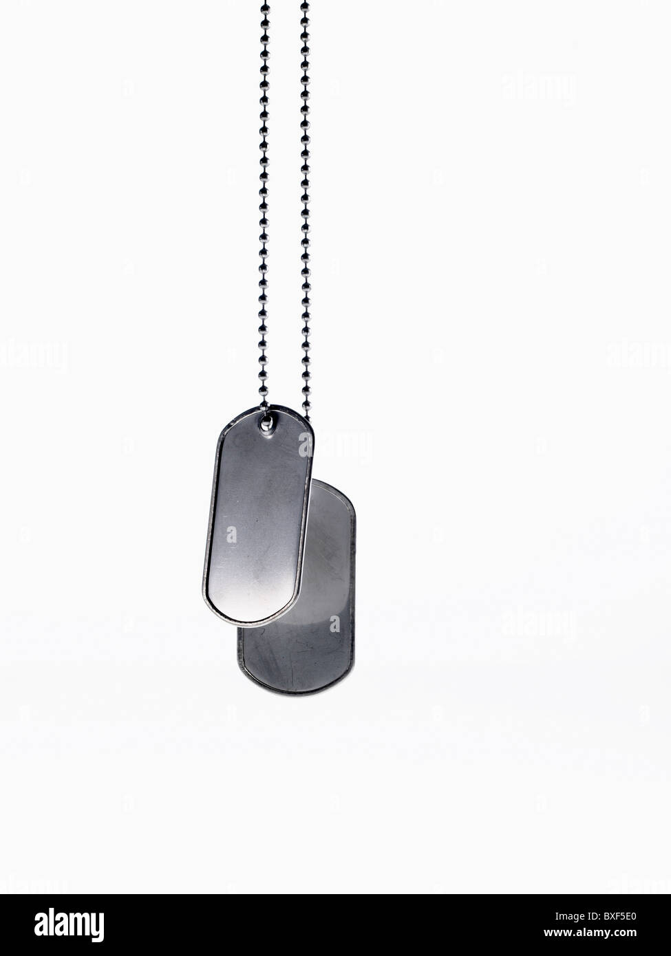 Identification tags hi-res stock photography and images - Alamy