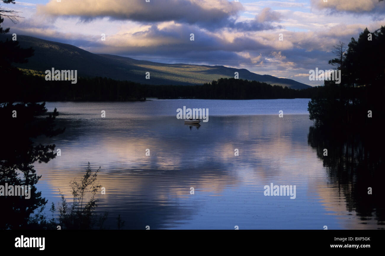 Still Water. reflection in water, trees, nature, Landscape Stock Photo ...