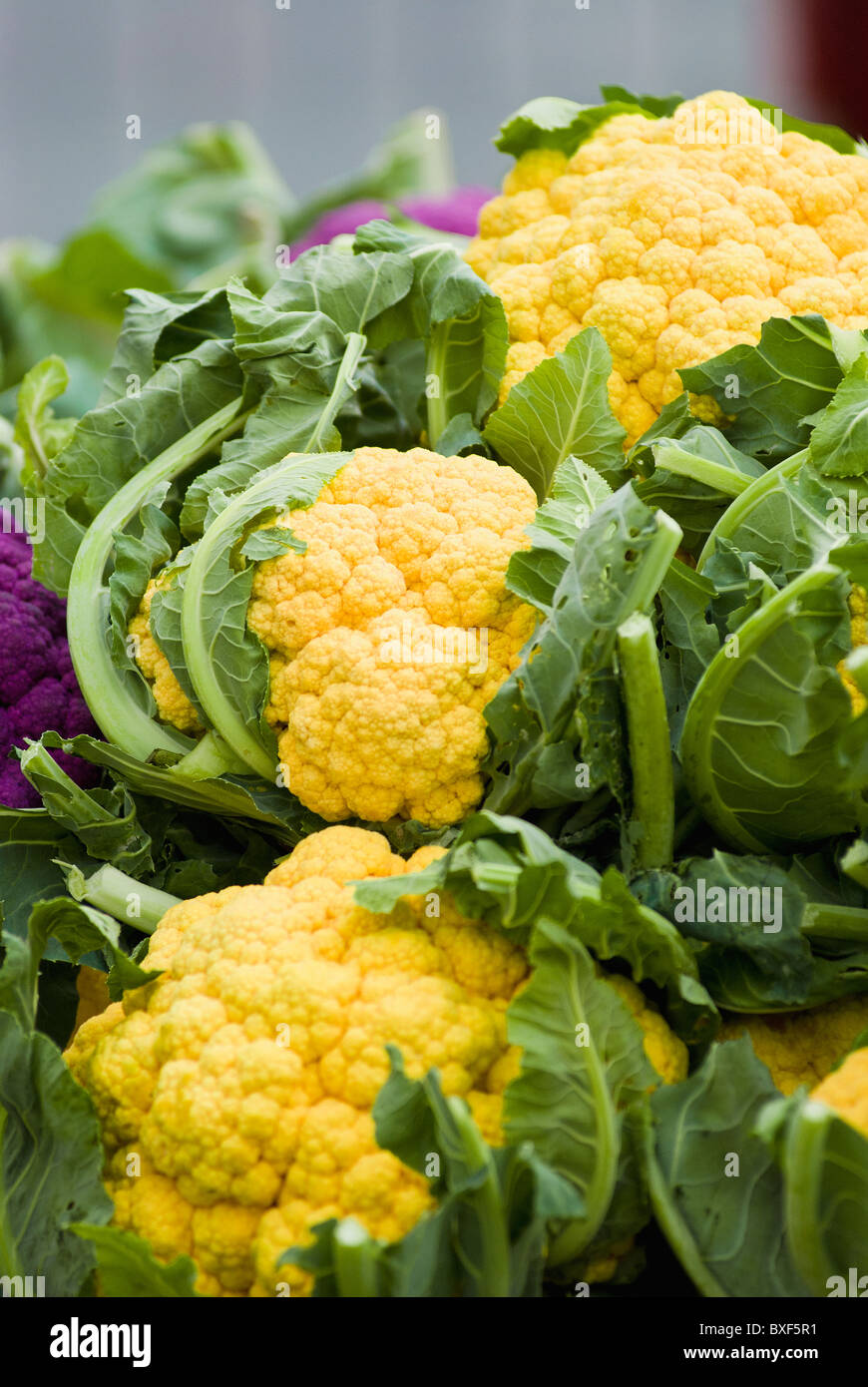 Cauliflower display at farmer's market Stock Photo - Alamy