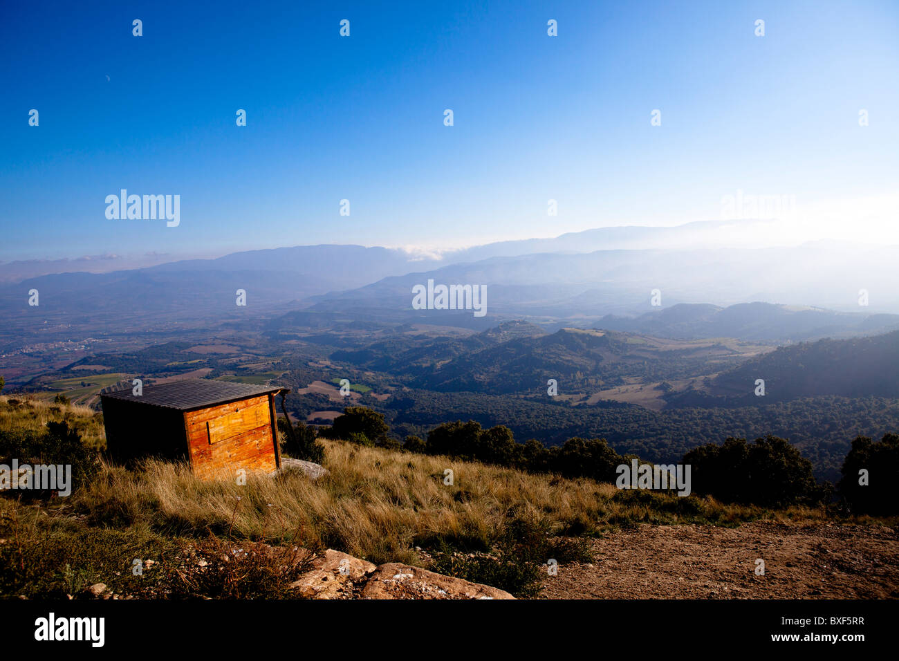 Pyrennes mountains Vultures bird Catalonia Spain Stock Photo - Alamy