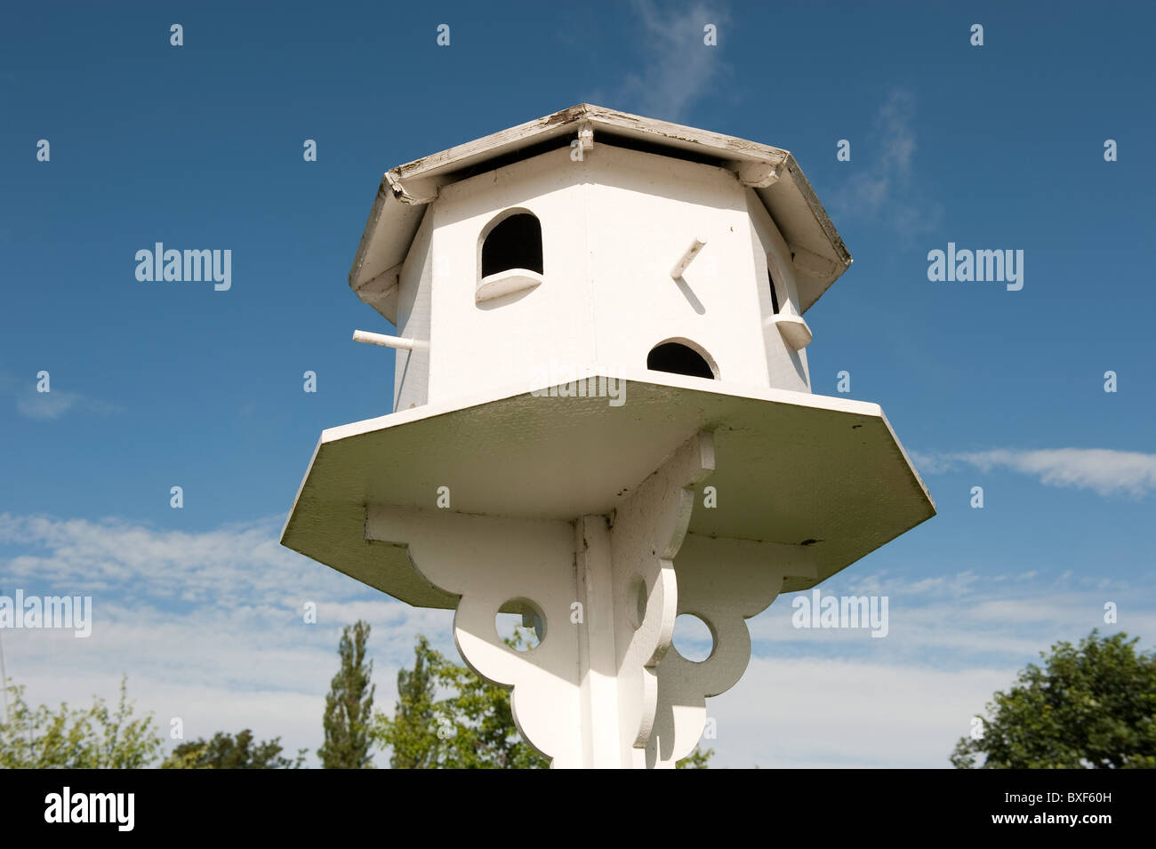 Large Garden Dove Cote