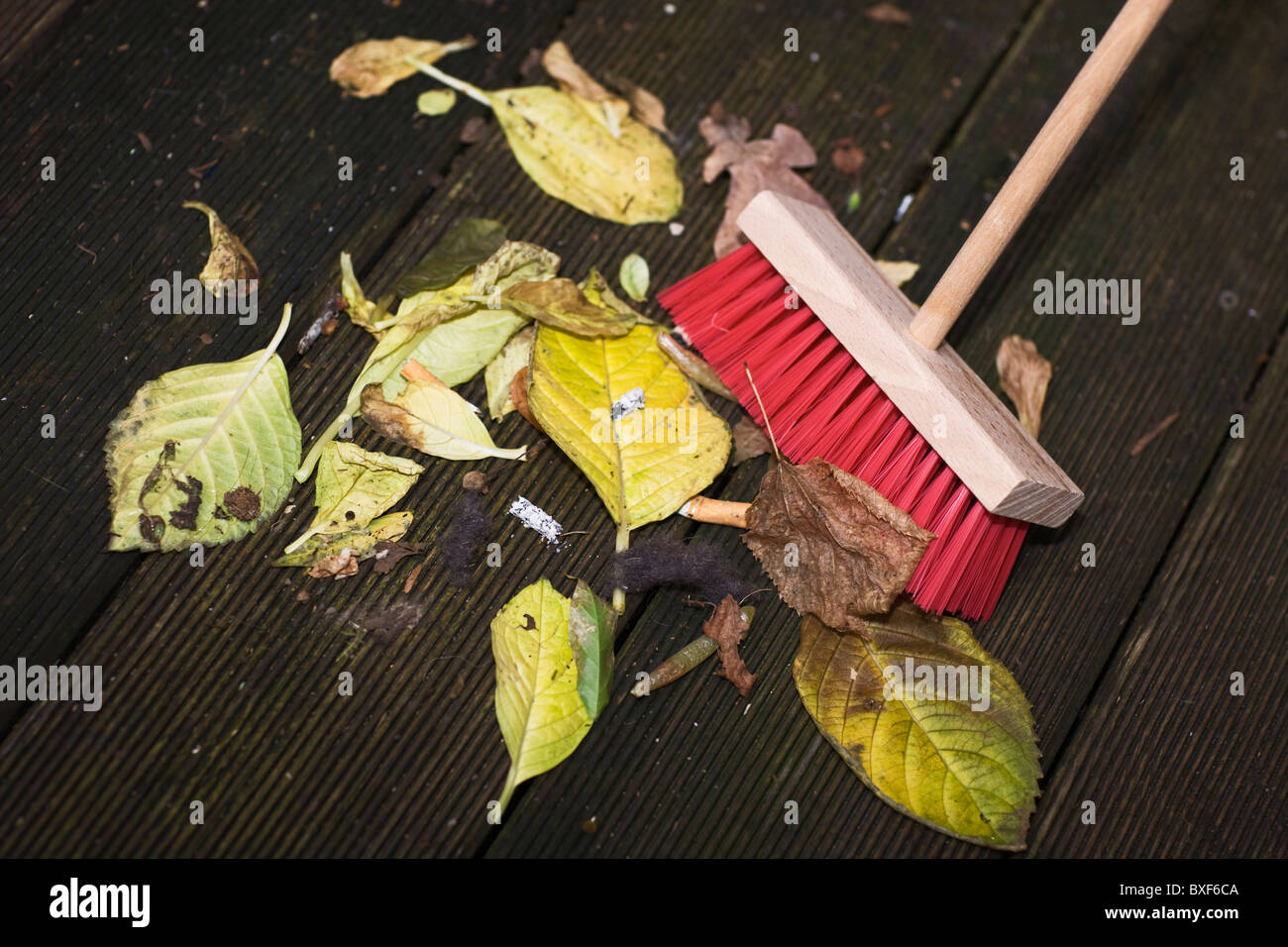 Red broom sweeping garbage from floor Stock Photo - Alamy