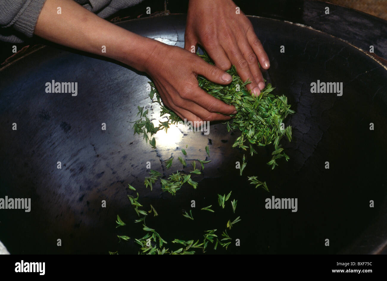 Agriculture china chinese drying hi-res stock photography and images ...
