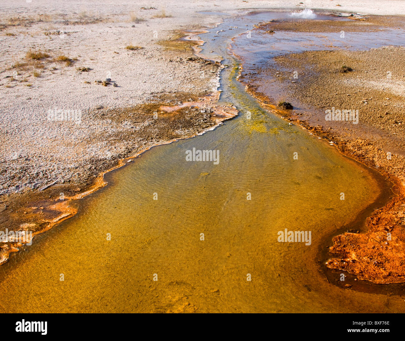 Ribbons of colour formed by thermophiles in the hot springs at ...