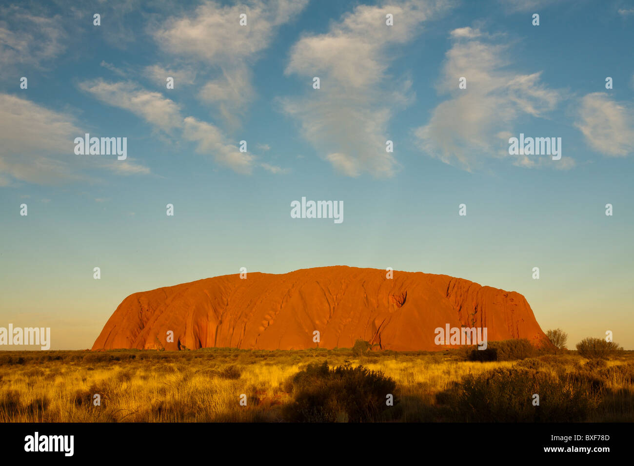 Saltbush uluru hi-res stock photography and images - Alamy