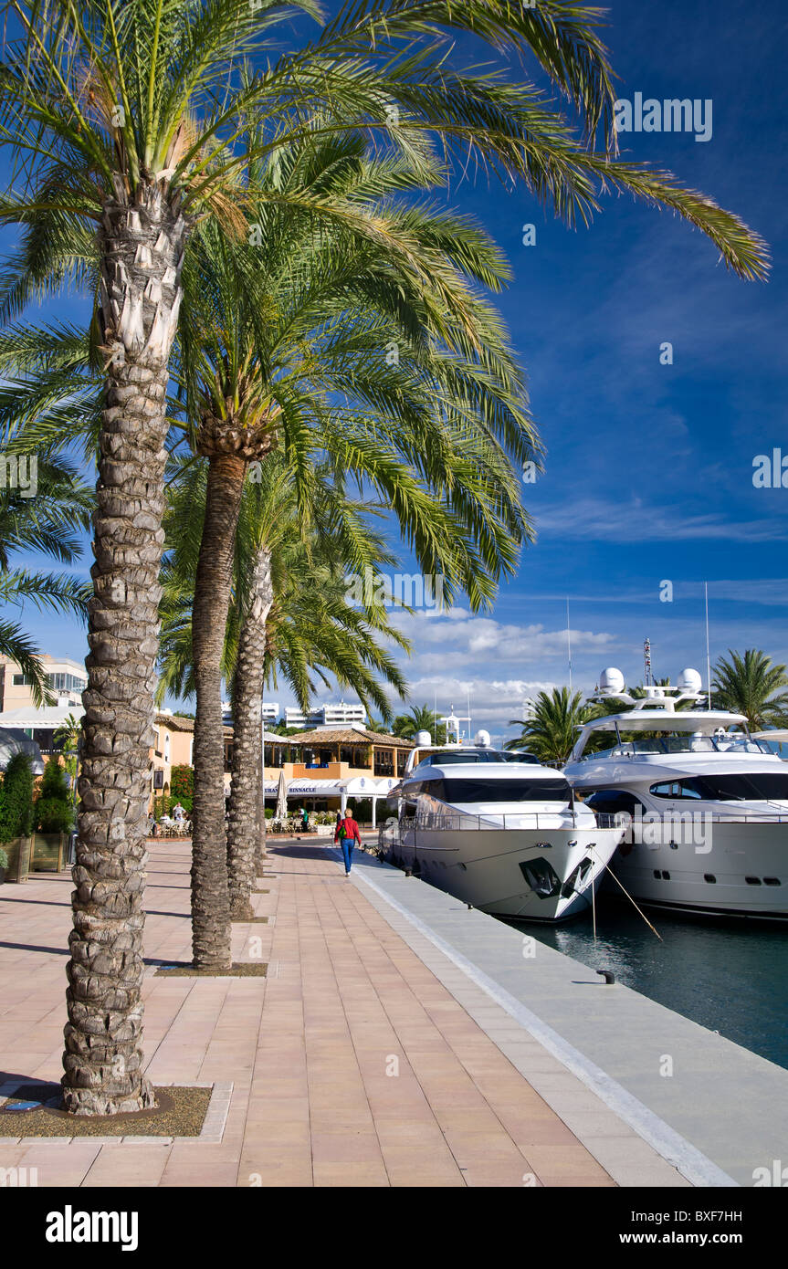Puerto portals mallorca hi-res stock photography and images - Alamy