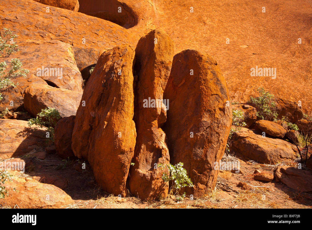 Brilliant orange red rocks at Uluru (Ayers Rock), Uluru-Kata Tjuta ...