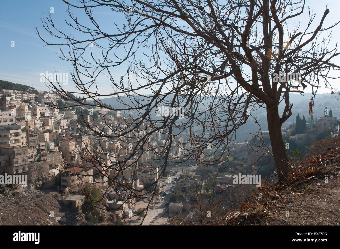 View of Silwan palestinian village through tree. Jerusalem Stock Photo ...